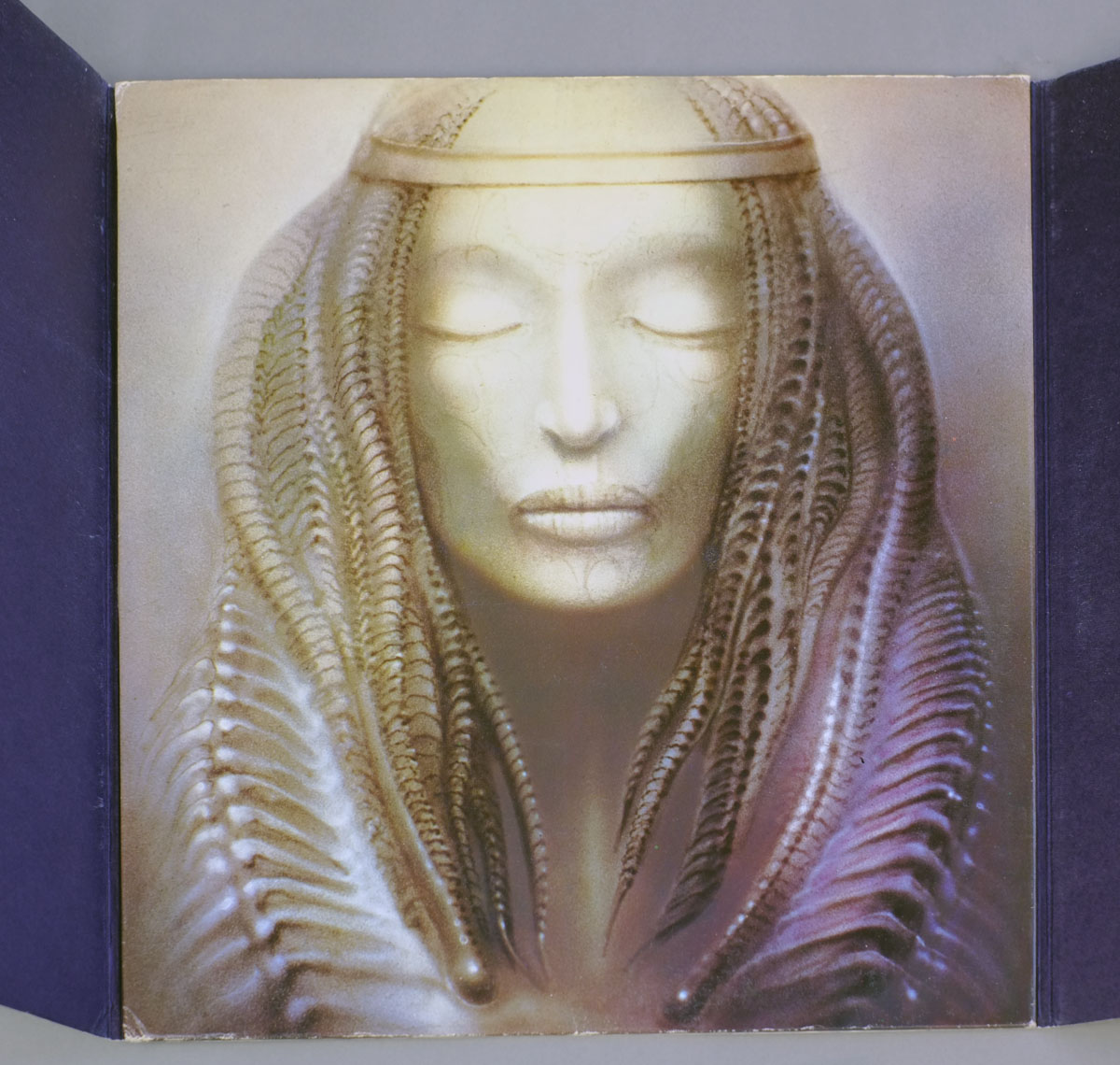 ELP EMERSON LAKE & PALMER Brain Salad Surgery Album Cover Photos & 12 ...